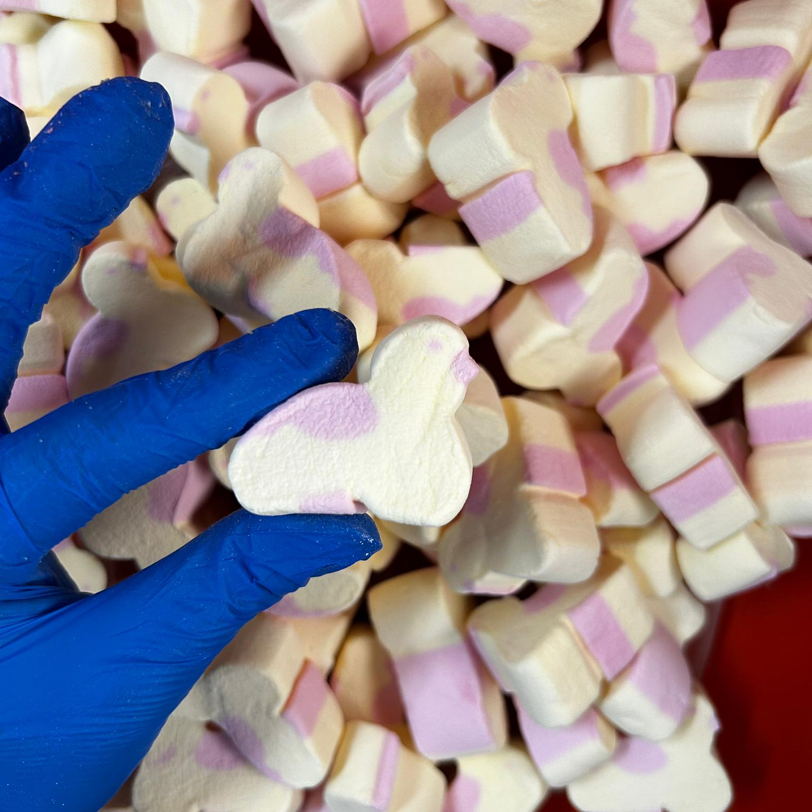 Mallow Chick 3 Pieces - Freeze Dried Sweets– Sweet Mouthful Mixes